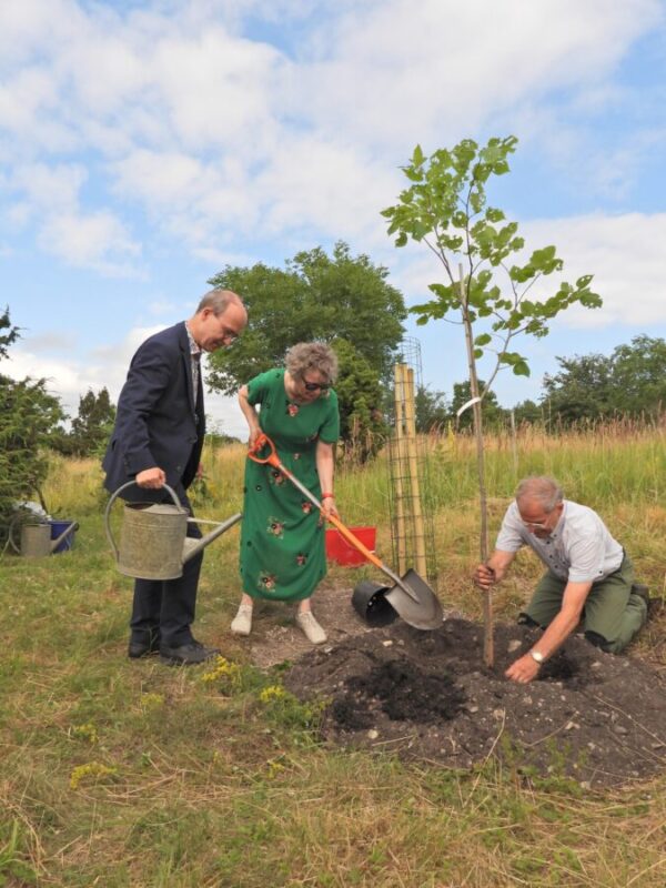 Austria puu - Eesti Kultuuriseltside Ühendus